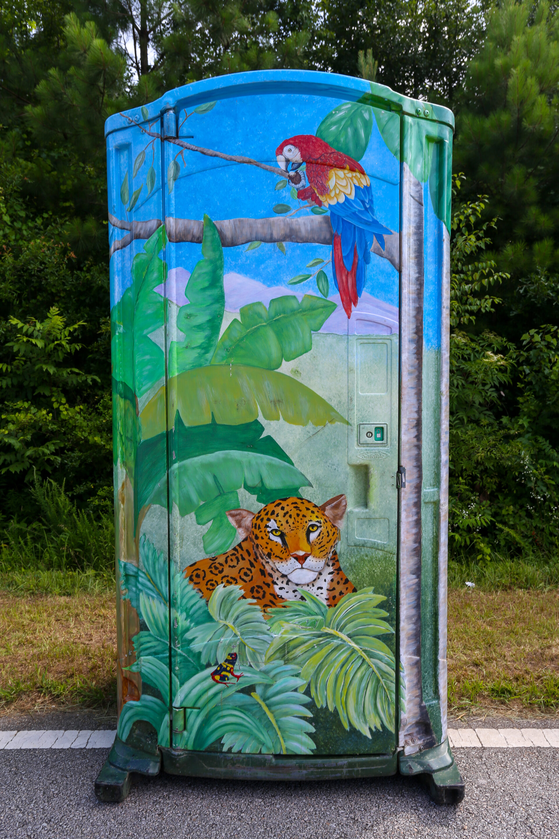 Painted Units | Portable Restroom Rentals | Pit Stop Sanitation